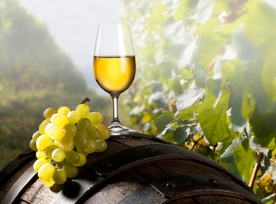 Cum se face vinul de casă: perioada optimă de fermentare a mustului ...